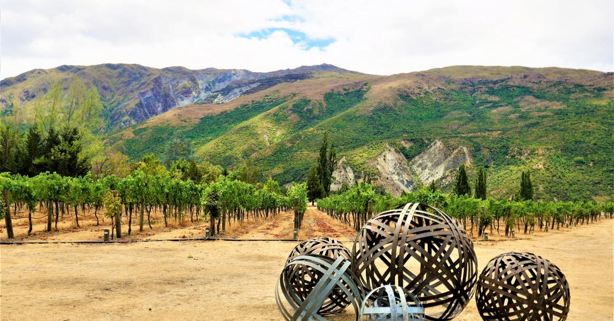 Kinross Cafe and Cellar Door » Experience Queenstown